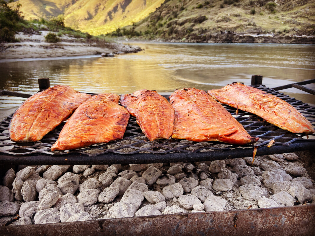 2020 SEASON AVAILABILITY UPDATE - Hughes River Expeditions